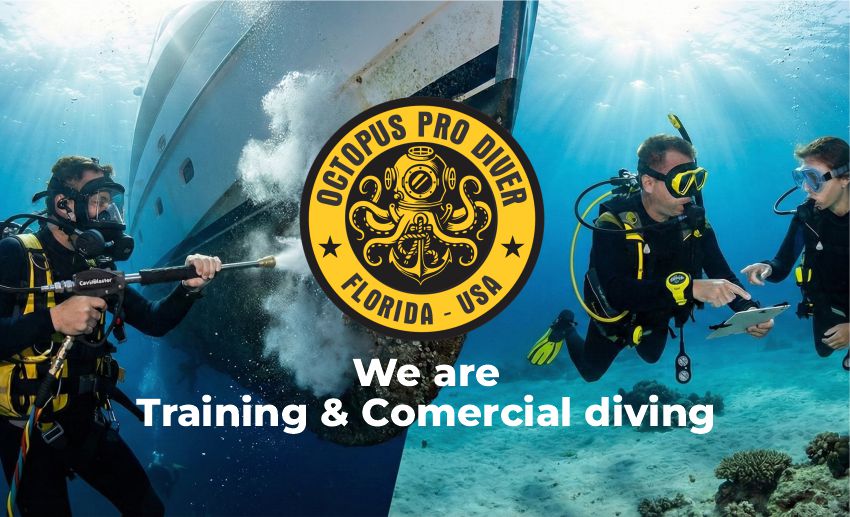 Contáctanos | Octopus Pro Diver - Mantenimiento y Cursos
